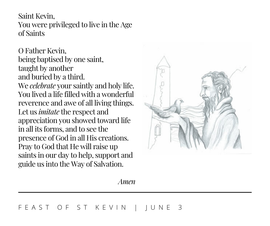 Happy Feast of St.Kevin’s! – St Kevin's Catholic Parish, Hampton Park